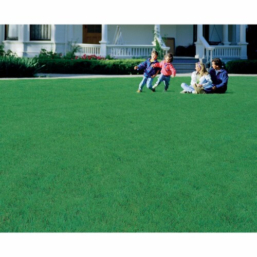 Quick Lawn 3lb Lawn Grass Seed 70203 1 King Soopers