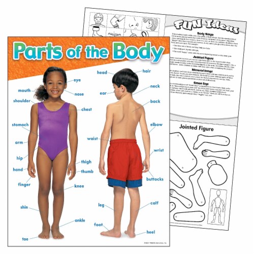 Trend Enterprises Parts of the Body Learning Chart T-38048, 1 - King ... Trend Enterprises Parts of the Body Learning Chart T-38048, 1 - King ...