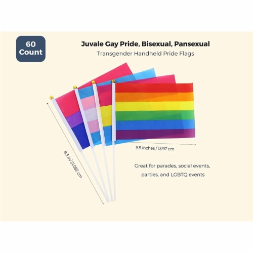 Transgender Bisexual Pansexual Gay Pride Handheld Stick Flags Lgbtq