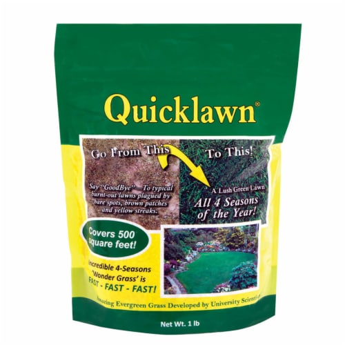 As Seen On Tv Quicklawn 4 Season Evergreen Grass Seed 1 Lb Bag 500 Sq Ft 1 City Market