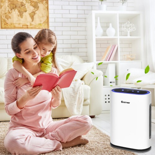 Costway Ionic Air Purifier W 4 in 1 Composite HEPA Filter Quiet Remove Allergies Smoke 1 unit Kroger