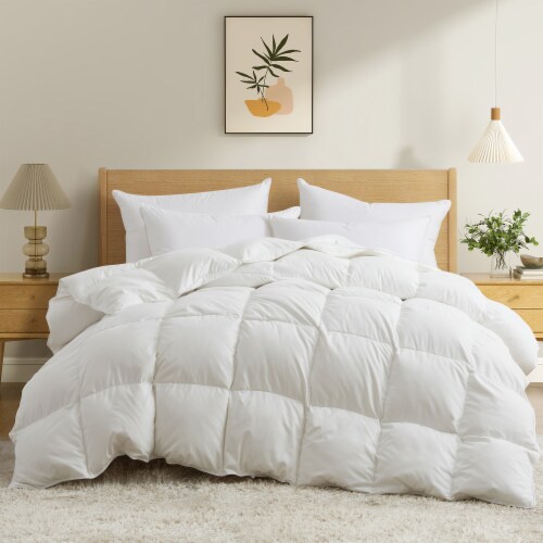 Puredown Winter Down Comforter Heavyweight Quilted Ultra Soft Twin Full King White Full Quee Full Queen Fred Meyer