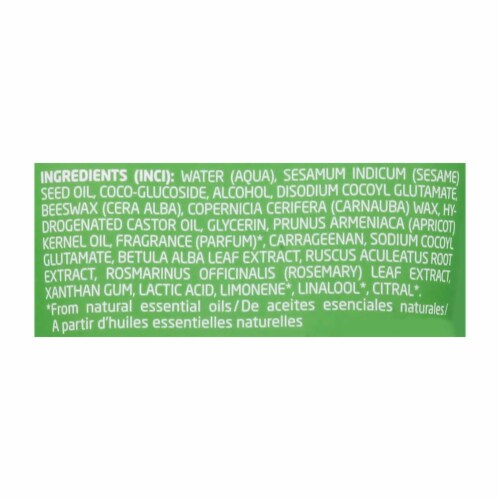 Weleda Birch Body Scrub 5 1 Fl Oz 1 Pack 5 1 Ounce Kroger