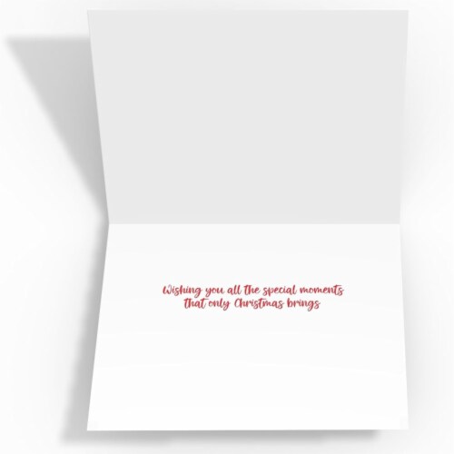 Stonehouse Collection Alligator On Board Funny Christmas Card
