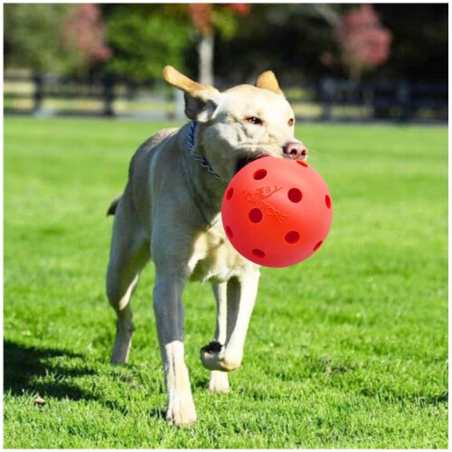 Unbreakable dog ball store