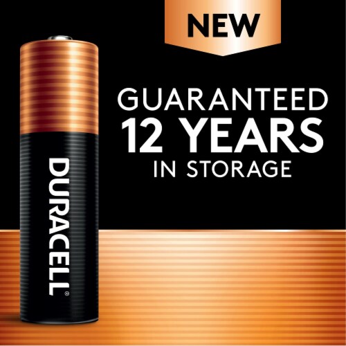 Duracell Coppertop AAA Alkaline Batteries 24 Ct CVS Pack of 16 16 pack Foods Co