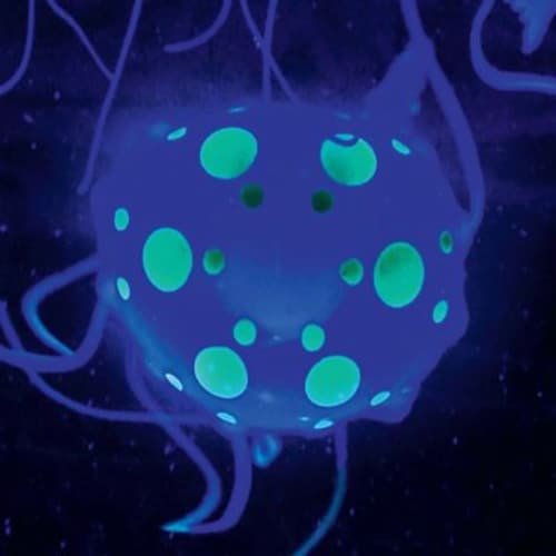 Discovery Kids #MINDBLOWN Jellyfish Aquarium, One Size - Kroger Discovery Kids #MINDBLOWN Jellyfish Aquarium, One Size - Kroger