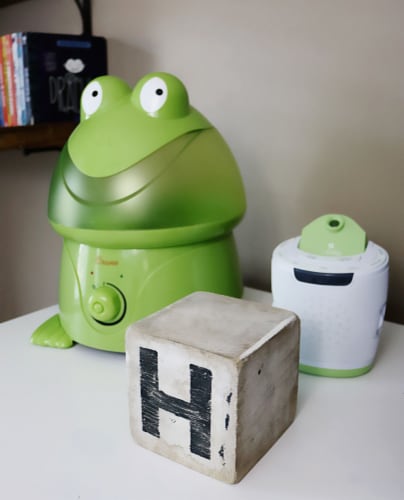 Frog humidifier store