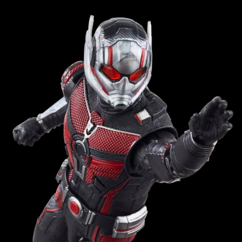 Hasbro F6573 6 inch Marvel Legends Series Ant Man Action Figure 1 City Market