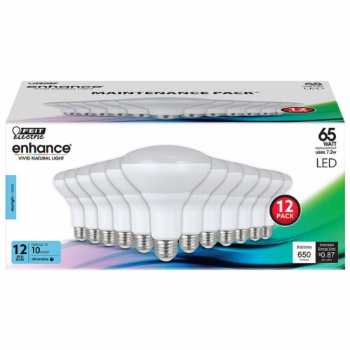 Feit Electric Enhance BR30 E26 (Medium) LED Bulb Daylight 65 Watt ... Feit Electric Enhance BR30 E26 (Medium) LED Bulb Daylight 65 Watt ...