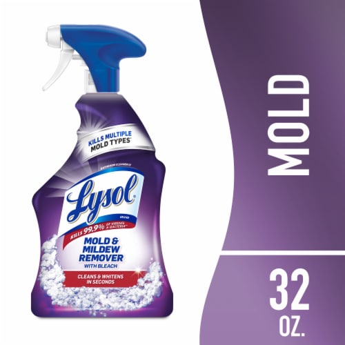 Lysol Mold And Mildew Remover Bathroom Cleaning Spray Soap Scum And