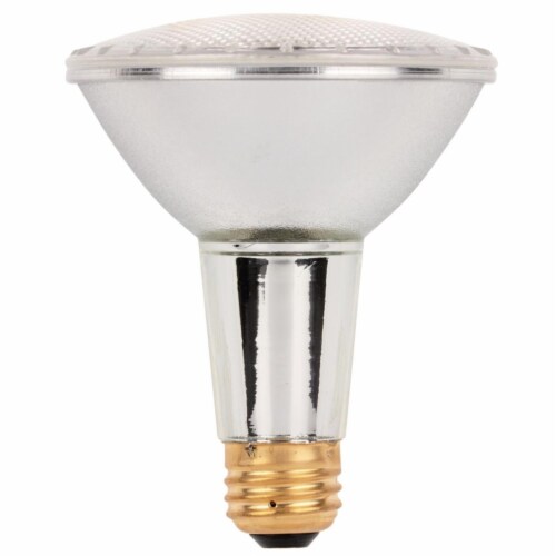 Westinghouse Eco-Par 60 watt PAR30 Floodlight Halogen Bulb 1,070 lumens ... Westinghouse Eco-Par 60 watt PAR30 Floodlight Halogen Bulb 1,070 lumens ...