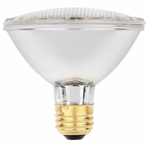 Westinghouse Eco-Par 60 watt PAR30 Floodlight Halogen Bulb 1,070 lumens ... Westinghouse Eco-Par 60 watt PAR30 Floodlight Halogen Bulb 1,070 lumens ...