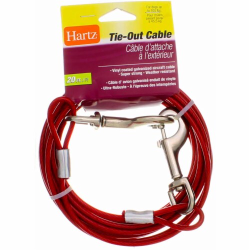 20 foot dog tie out store