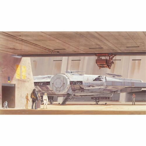 Room Mates Rmk12200m Ralph Mcquarries Star Wars Docking Bay Millennium Falcon Peel And Stick Mu 1