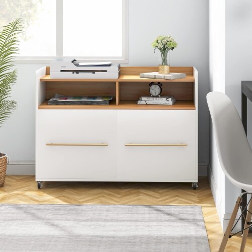 2 Drawer File Cabinet Rolling Filing Cabinets Printer Stand With