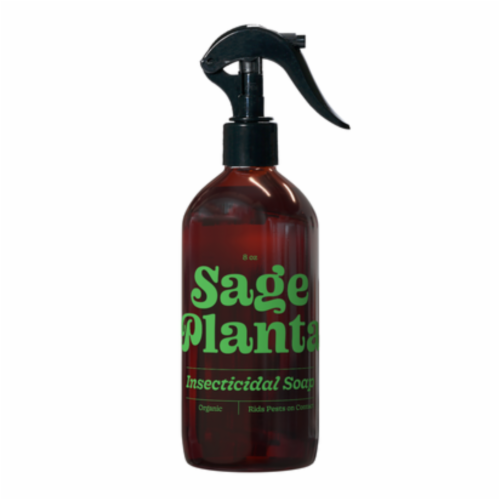 Organic Insecticidal Soap An Indoor Plant Care Essential 8oz 1 Count