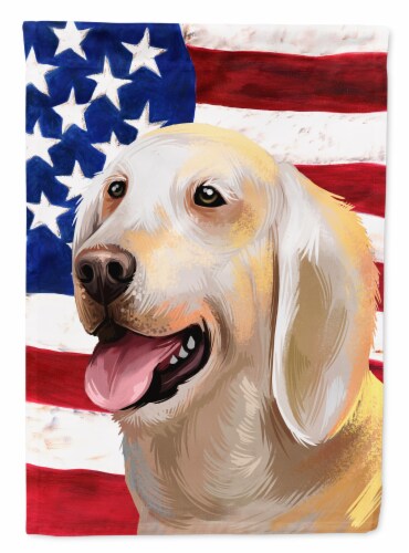 Carolines Treasures CK6435CHF Billy Dog American Flag Flag Canvas House ... Carolines Treasures CK6435CHF Billy Dog American Flag Flag Canvas House ...