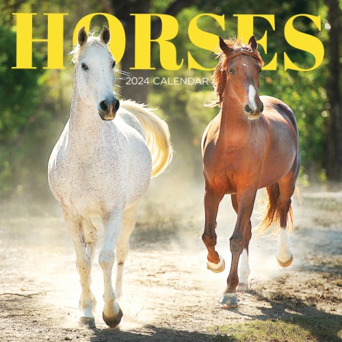 TF Publishing 2024 Horses Wall Calendar, 1 ct - Kroger TF Publishing 2024 Horses Wall Calendar, 1 ct - Kroger