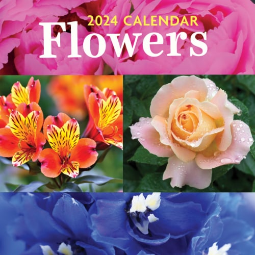 Tf Publishing Calendar 2025 - Gavin King Tf Publishing Calendar 2025 - Gavin King
