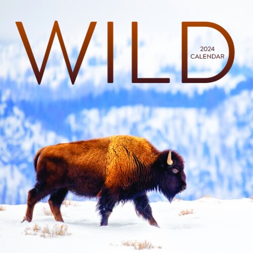 TF Publishing 2024 Wild Wall 12 Month Wall Calendar, 1 ct - Kroger TF Publishing 2024 Wild Wall 12 Month Wall Calendar, 1 ct - Kroger