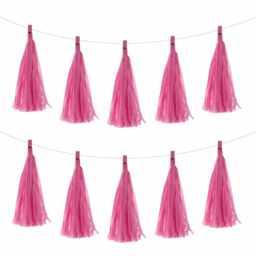 MECCANIXITY 20pcs Tassel Garland Banner with Rope for Wedding Birthday Party Decoration OS Foods Co