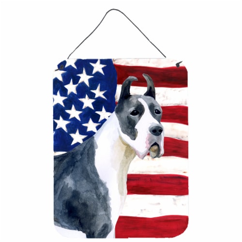 Carolines Treasures Bb9643ds1216 Harlequin Great Dane Patriotic Wall Or