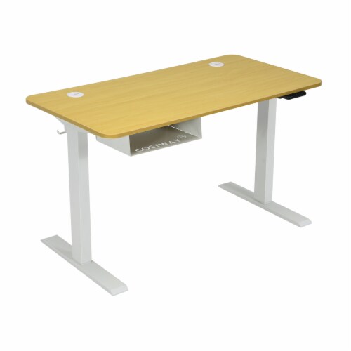 Slickblue 48 Inch Electric Standing Adjustable Desk with Control Panel and USB Port 1 Unit Harris Teeter