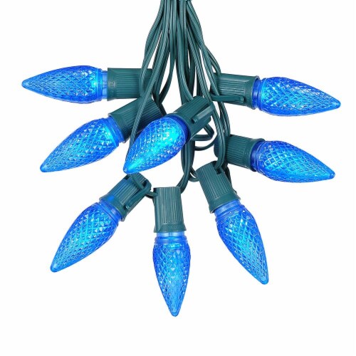 25 Foot C9 Led Blue Christmas Light Set Hanging String Lights Green