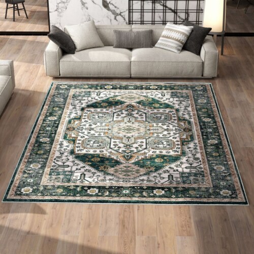 Chevni Area Rugs 5X7 Ft Vintage Large Carpet Non Slip Washable Rug For Living Room Bedroom 5 x 7 ft Mariano s