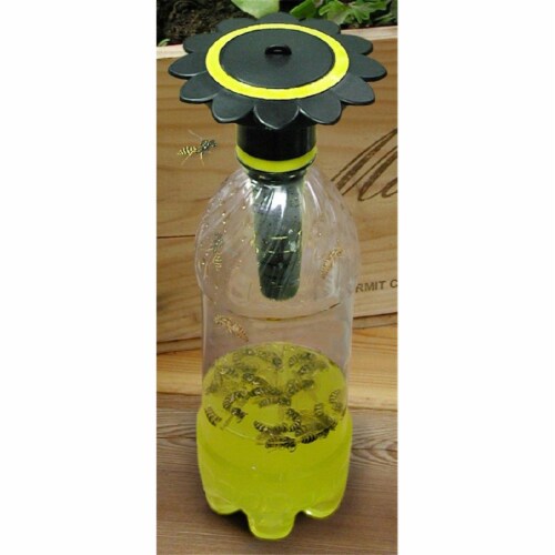 Gadjit Wp26135 Soda Bottle Wasp Trap Black Non Toxic 1 Fred Meyer