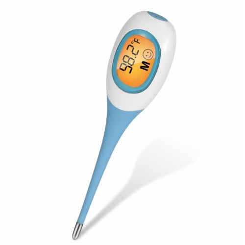 Fresh Fab Finds Oral Thermometer Body Thermometer Accurate Fast Temperature Reading One size Fred Meyer