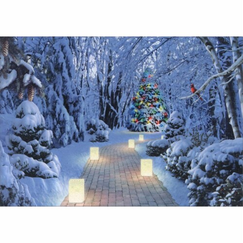 Lpg Greetings Lighting The Way Box Of 14 Alan Giana Christmas Cards 14 Cards 14 Envelopes