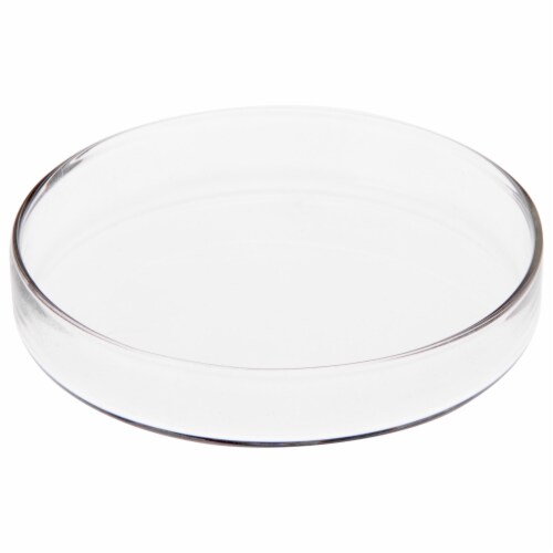 Plymor 3 X 3 Round Glass Display Tray Pack Of 6 6 Ct Harris Teeter