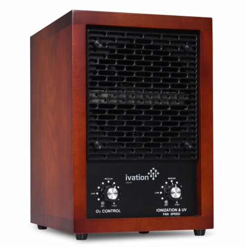 Ionizer air purifier ozone store