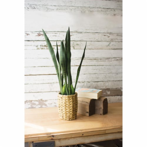 Kalalou CNL1218 30 in. Artificial Mother in Law Tongue in a Woven Pot ... Kalalou CNL1218 30 in. Artificial Mother in Law Tongue in a Woven Pot ...