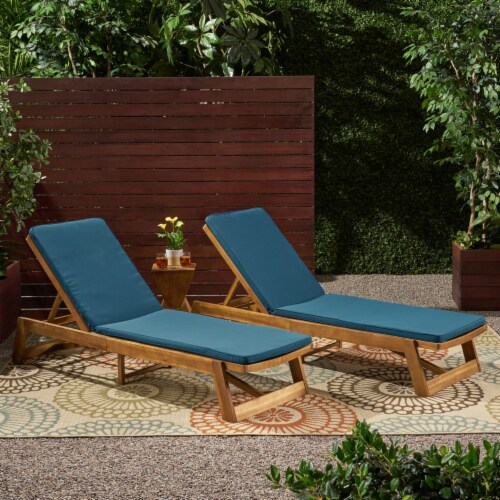 Belinda Outdoor Fabric Chaise Lounge Cushion Set of 2 rust orange 1 unit Harris Teeter