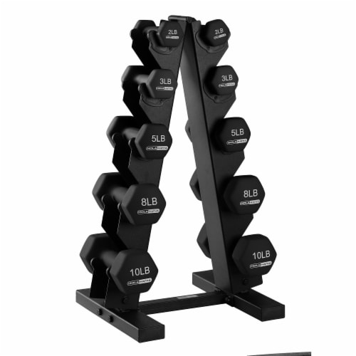 HolaHatha 2 3 5 8 10 Pound Neoprene Dumbbell Weight Set with Storage Rack 1 Piece Foods Co
