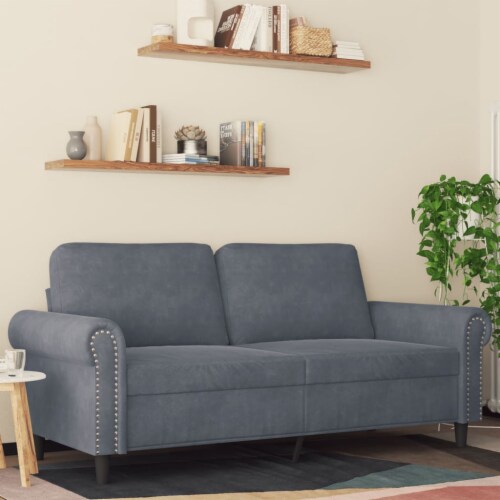 vidaXL 2 Seater Sofa Dark Gray 55.1 Velvet 67.7 Pay Less Super Markets