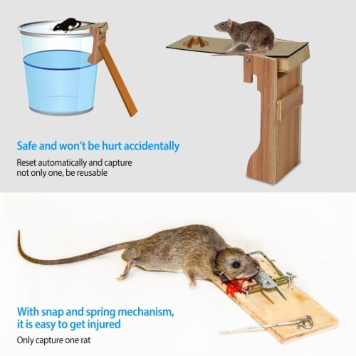 Walk The Plank Mouse Trap Reusable Rat Trap Rodent Animal Trap 1 unit King Soopers