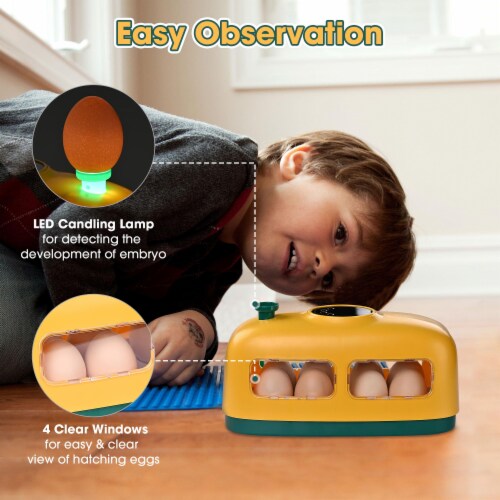 Yescom 8 Egg Incubator Digital Poultry Hatcher Temperature Control ... Yescom 8 Egg Incubator Digital Poultry Hatcher Temperature Control ...