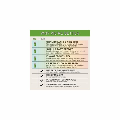 Better Booch Ginger Boost Kombucha, 16 fl oz - Kroger Better Booch Ginger Boost Kombucha, 16 fl oz - Kroger