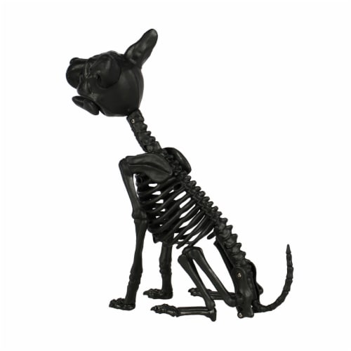 Holiday Home 875 Sitting Cat Skeleton Halloween Decor 825 In Qfc