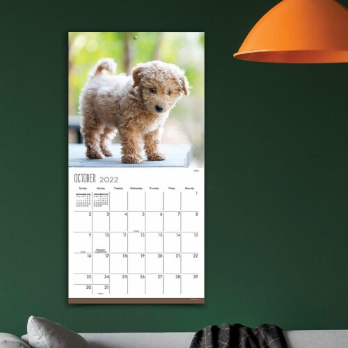 2022 Puppies 12 Month Wall Calendar by TF Publishing, 1 ct - Ralphs 2022 Puppies 12 Month Wall Calendar by TF Publishing, 1 ct - Ralphs