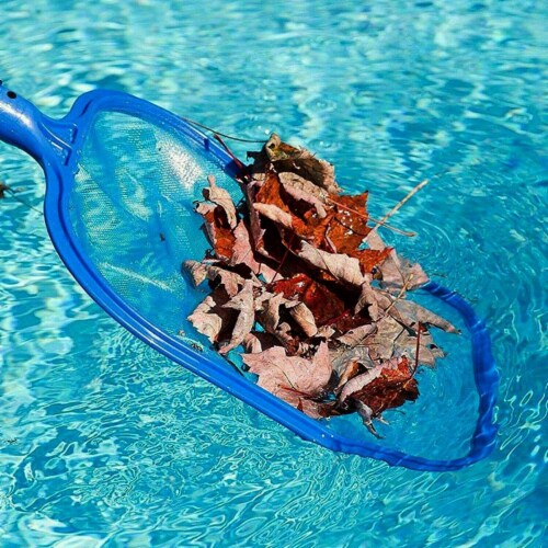 Pool skimmer store