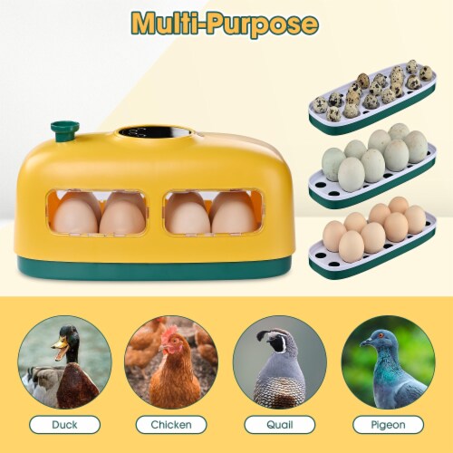 Yescom 8 Egg Incubator Digital Poultry Hatcher Temperature Control ... Yescom 8 Egg Incubator Digital Poultry Hatcher Temperature Control ...