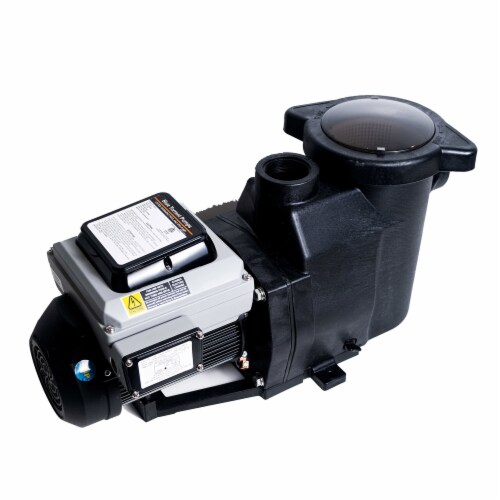 Blue Torrent Cyclone 1.5 HP Variable Speed Pump for In Ground Swimming ... Blue Torrent Cyclone 1.5 HP Variable Speed Pump for In Ground Swimming ...
