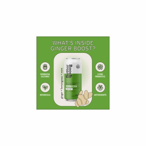 Better Booch Ginger Boost Kombucha, 16 fl oz - Kroger Better Booch Ginger Boost Kombucha, 16 fl oz - Kroger