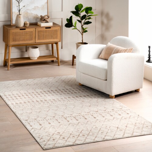 nuLOOM Moroccan Blythe Area Rug in Neutral 2 8 x 8 Runner Pick n Save