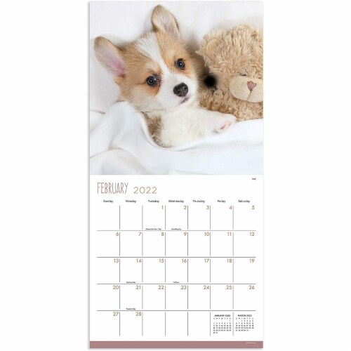 2022 Puppies 12 Month Wall Calendar by TF Publishing, 1 ct - Ralphs 2022 Puppies 12 Month Wall Calendar by TF Publishing, 1 ct - Ralphs